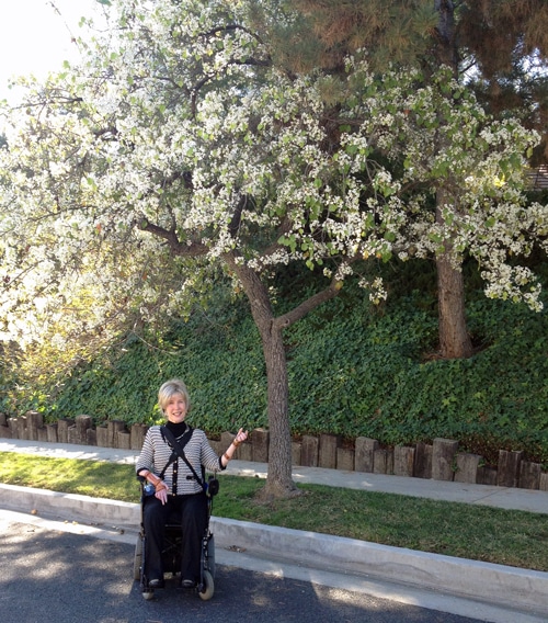 My ‘Hope’ Tree | Joni and Friends