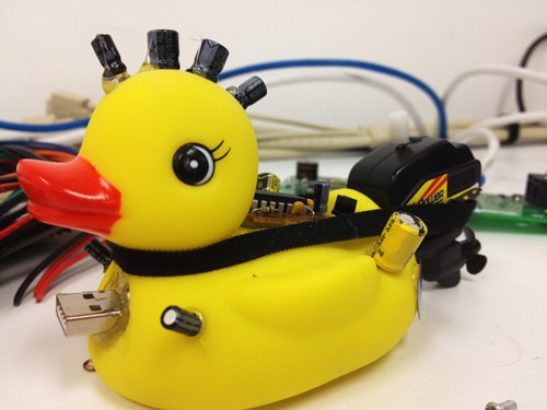 iDuck | Joni and Friends